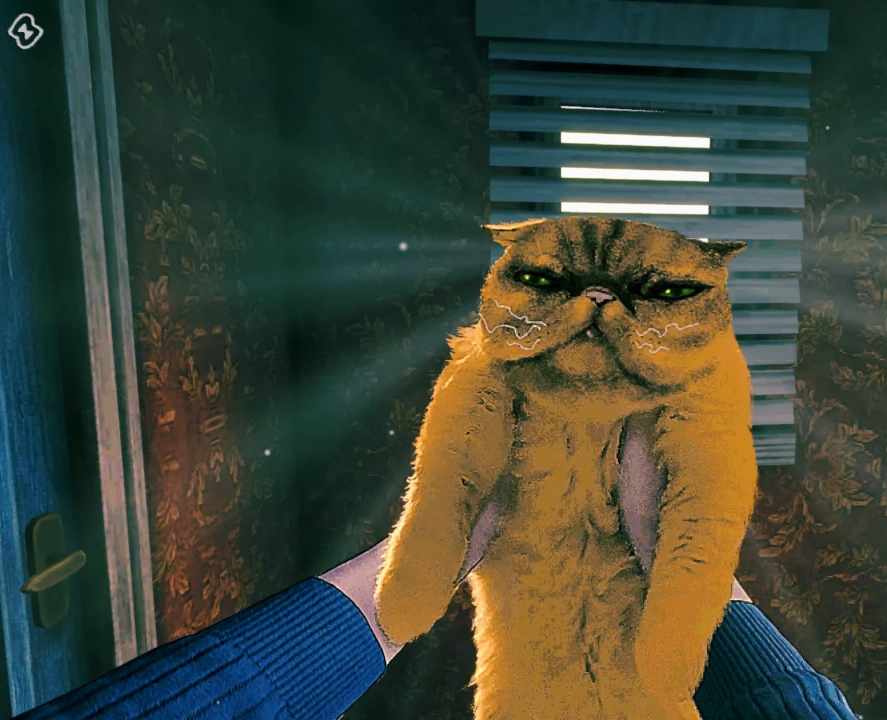 No, I am not a human cat